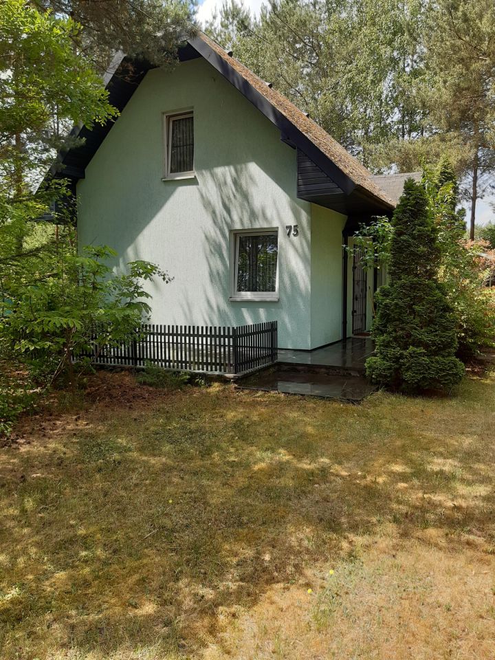 Działka Szczekarzewo, ul. Ptasia, bez pośrednika - 1227 m2