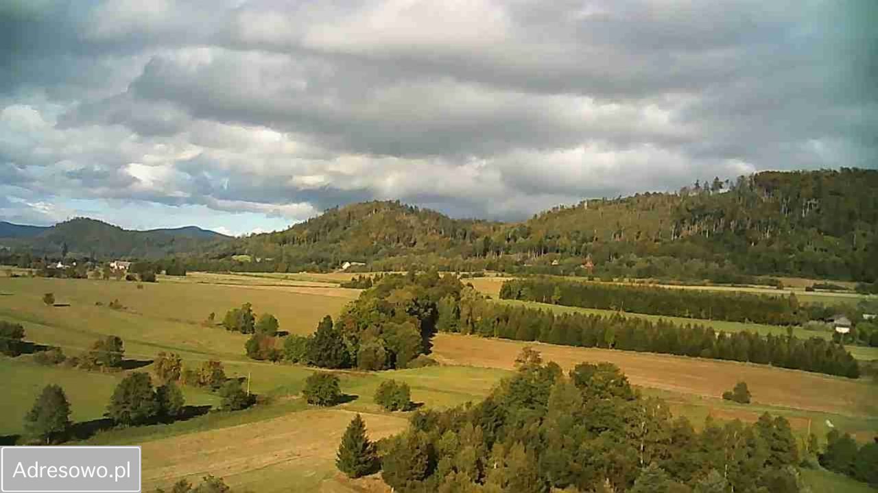 Działka Dolnik, bez pośrednika - 2,5 ha