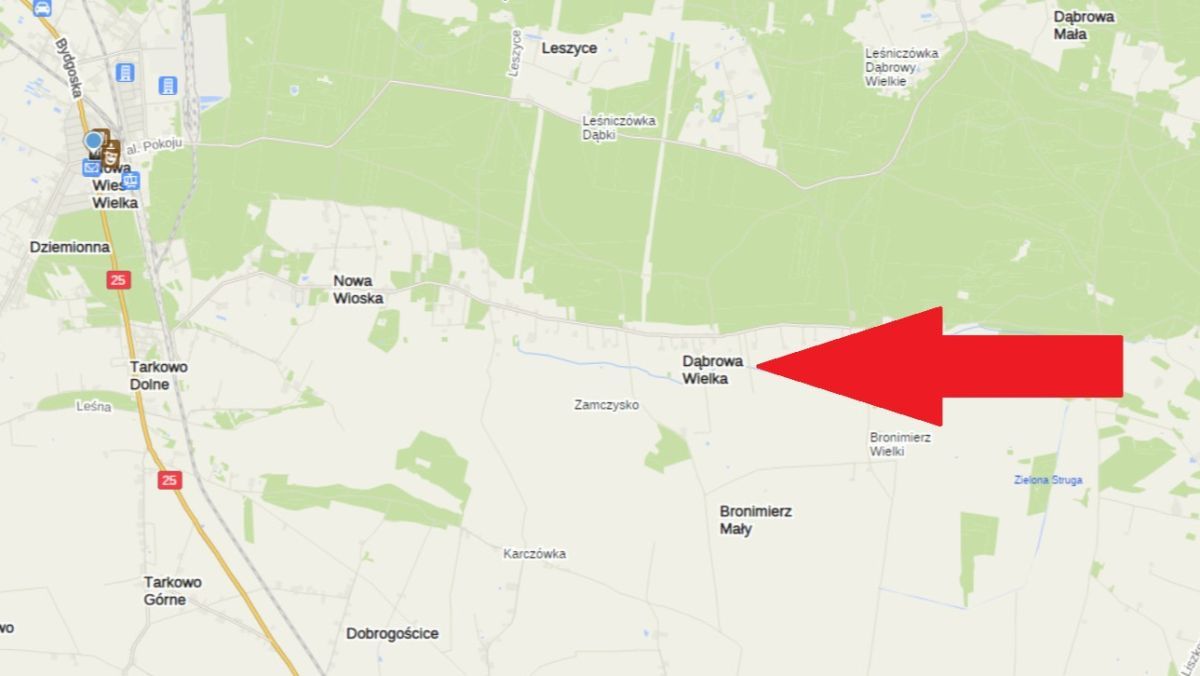 Działka Dąbrowa Wielka - 3234 m² - 146 000 zł