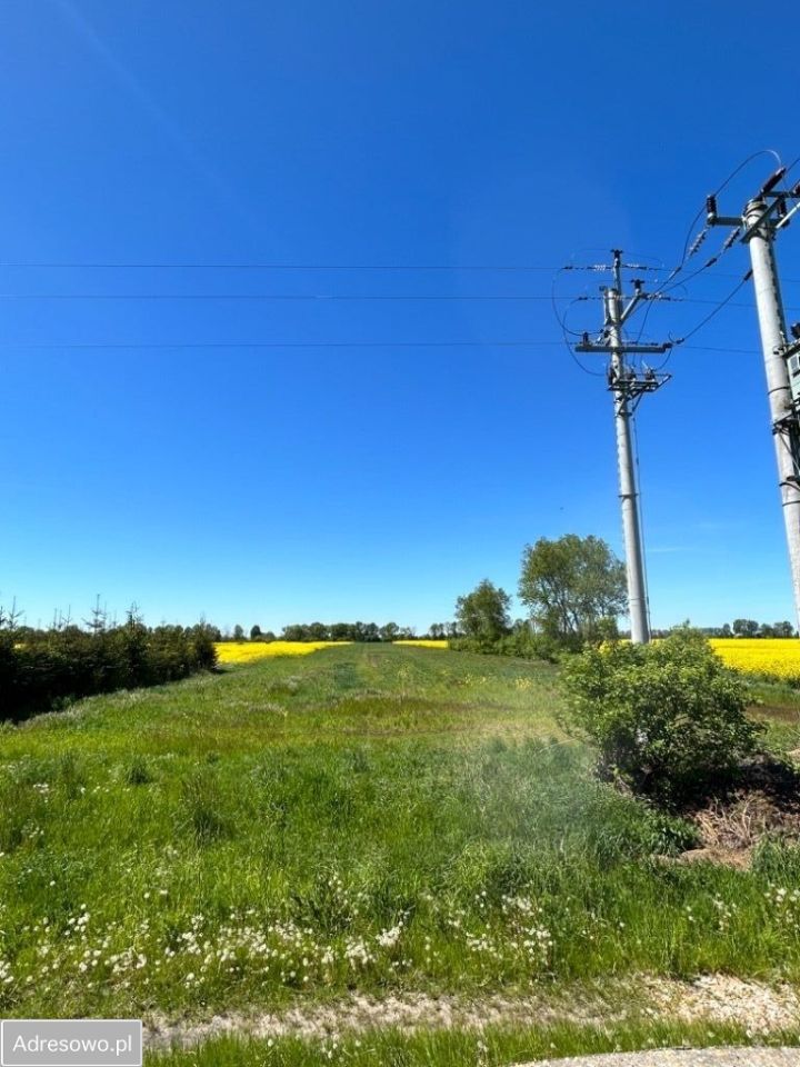 Działka Cedry Wielkie, bez pośrednika - 1,81 ha