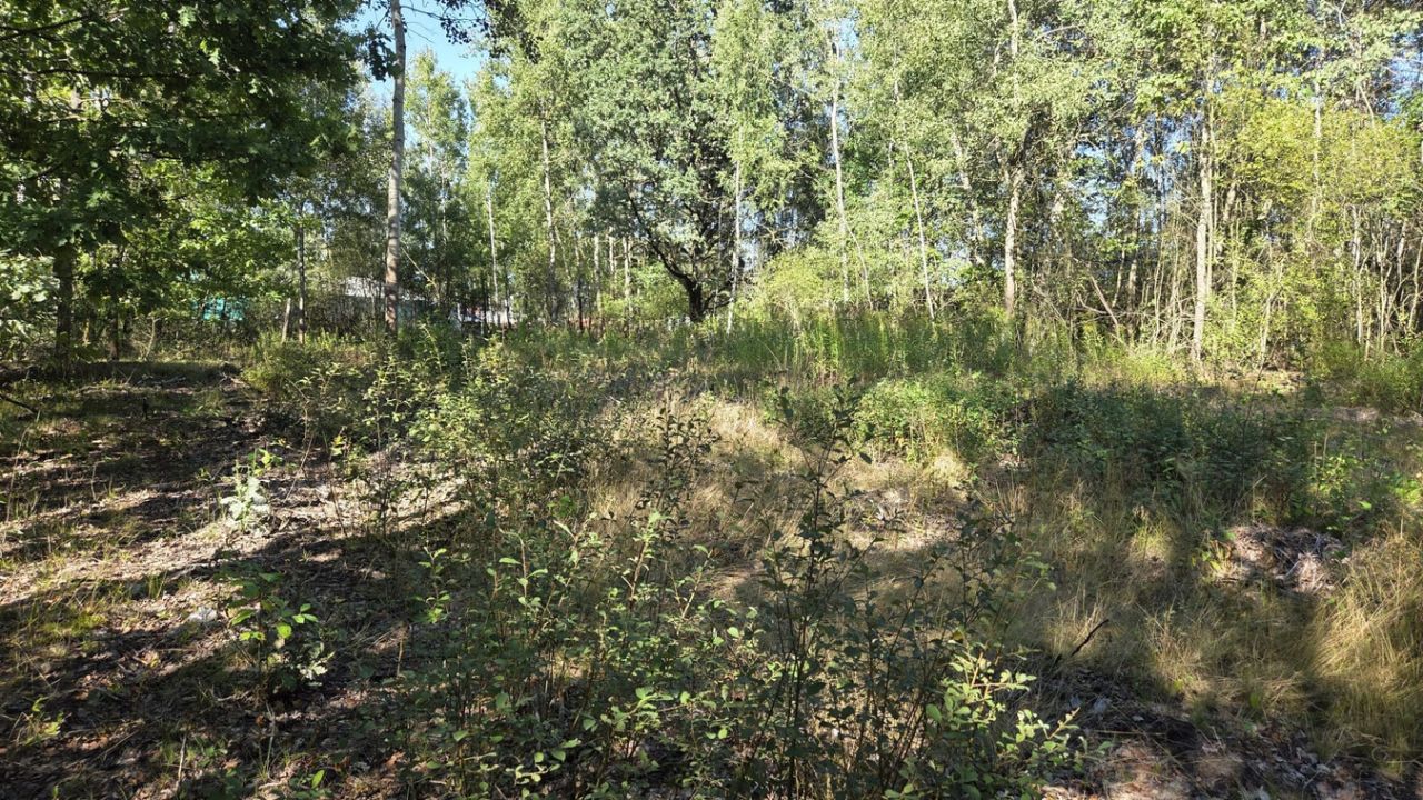 Działka Chobot, bez pośrednika - 3000 m² - 300 000 zł