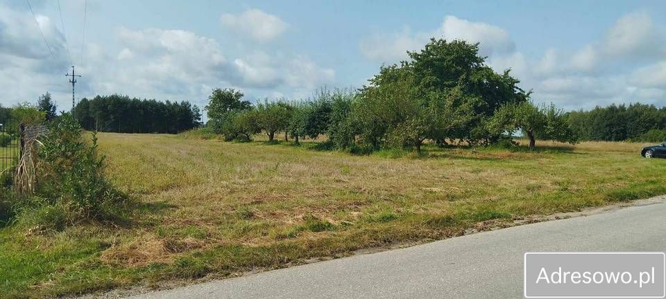 Działka Podlesie, bez pośrednika - 5600 m²