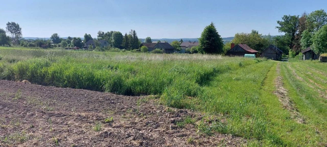 Działka Bachórz, bez pośrednika - 1100 m2