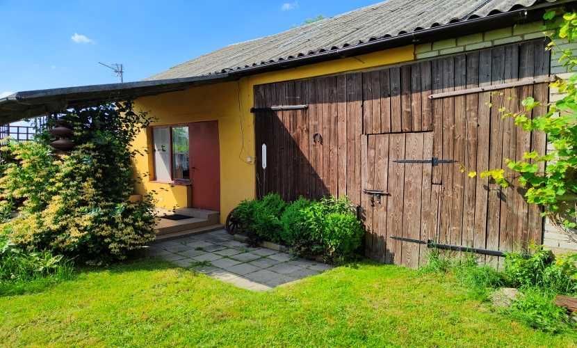 Działka Mazew, bez pośrednika - 3886 m²