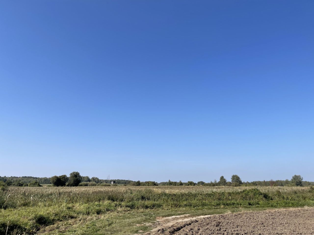 Działka Wola Rowska, bez pośrednika - 18,7 ha