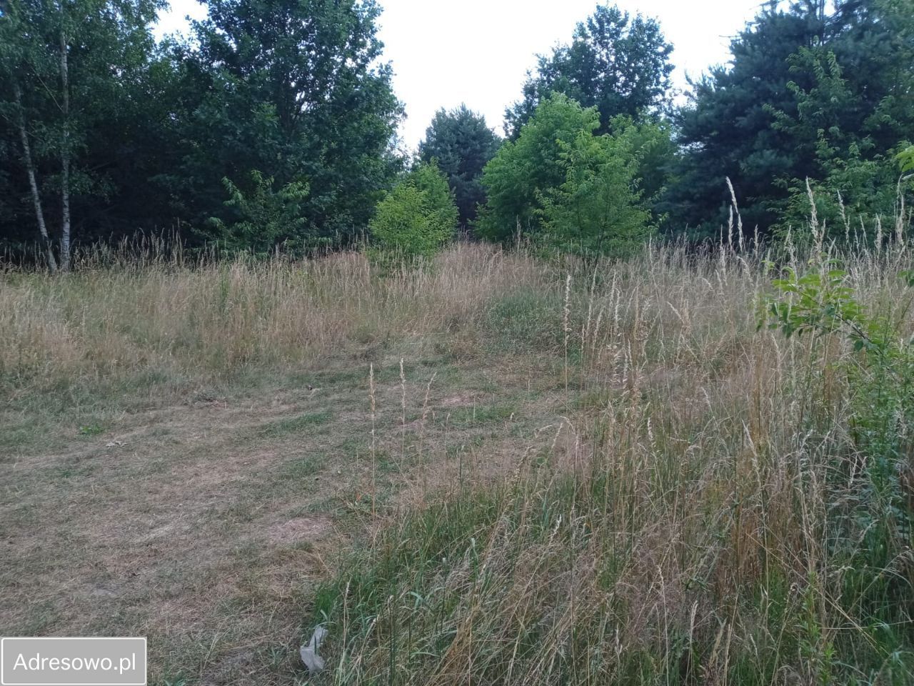 Działka Rynia, bez pośrednika - 2000 m²