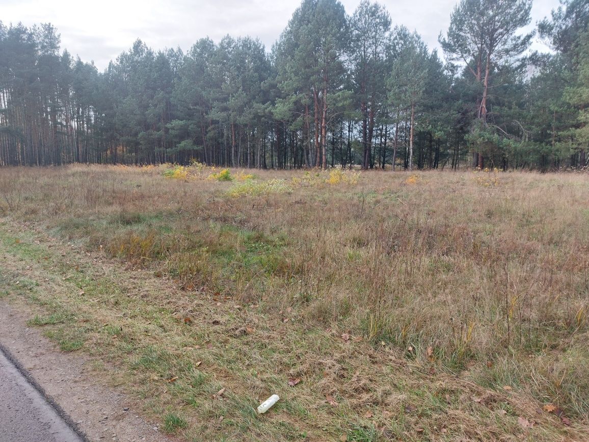 Działka Stany, bez pośrednika - 3000 m2 - 225 000 zł