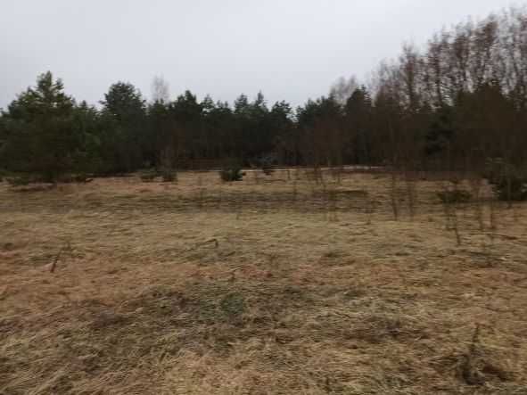 Działka Stary Orzechów, bez pośrednika - 700 m²