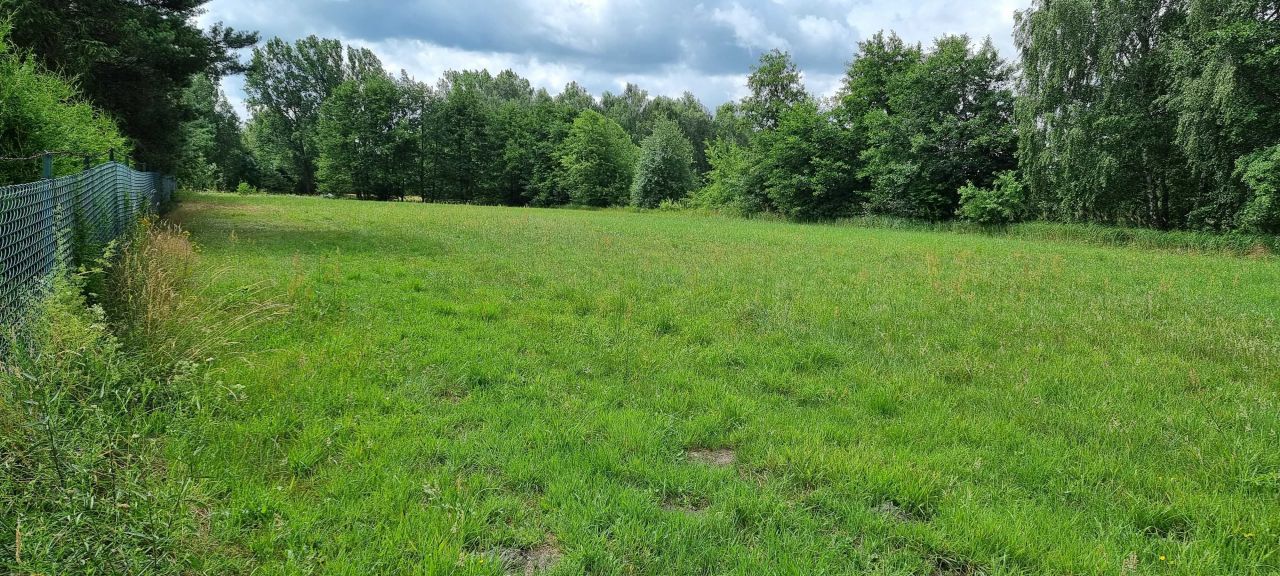 Dzia ka Skotniki Bez Po rednika 8000 M2 520 000 Z dzia-ka-skotniki-bez-po-rednika-8000-m2-520-000-z