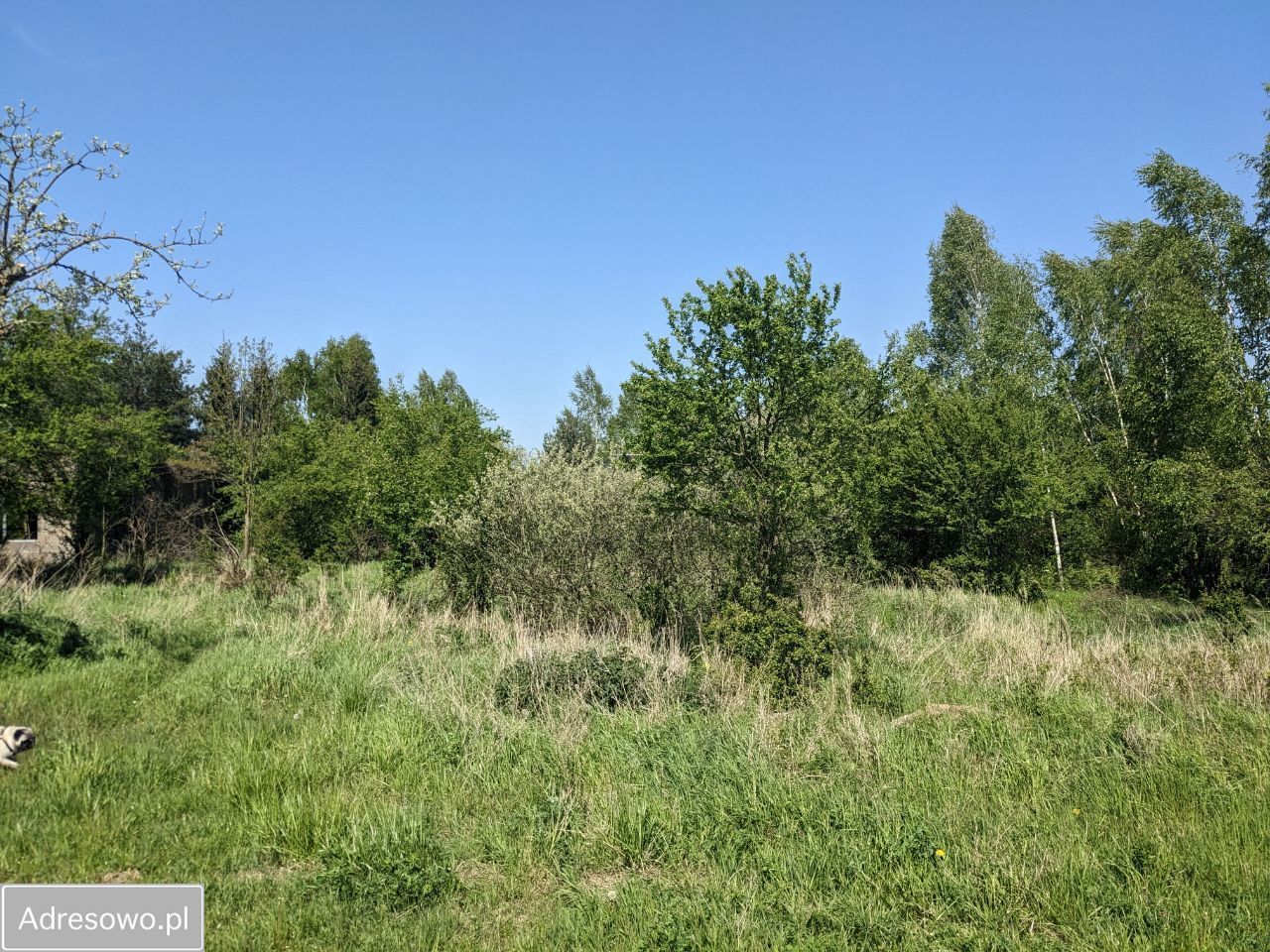 Działka Chludowo, ul. Zapłocie, bez pośrednika - 1 011 m²