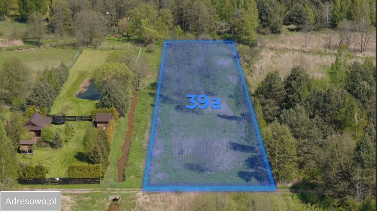 Działka Nowy Staw, bez pośrednika - 3900 m2 - 169 000 zł