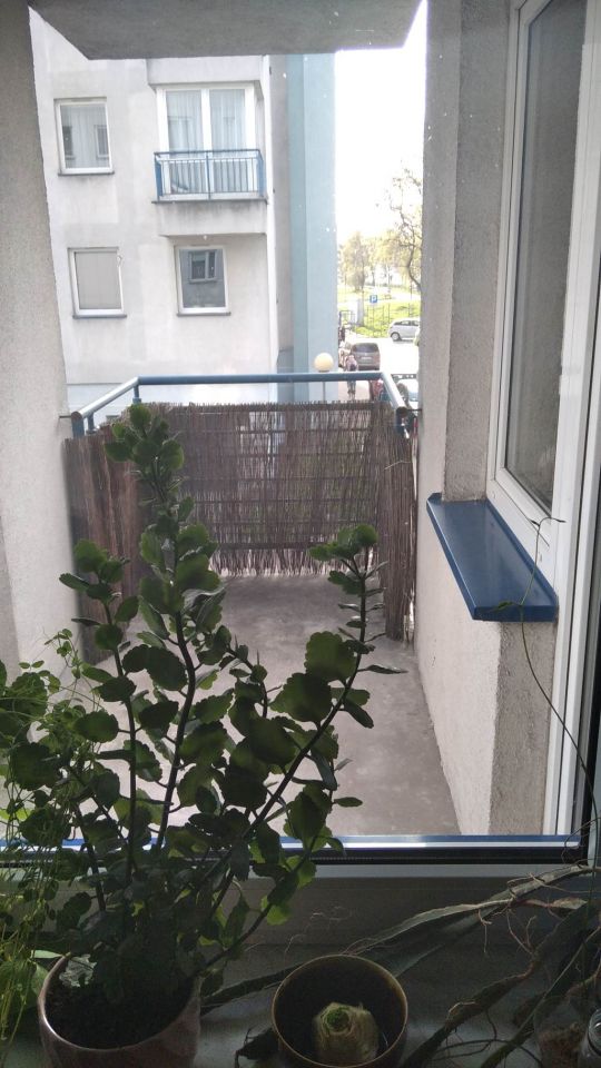 Mieszkanie Kraków, ul. Balicka, bez pośrednika - 35 m2