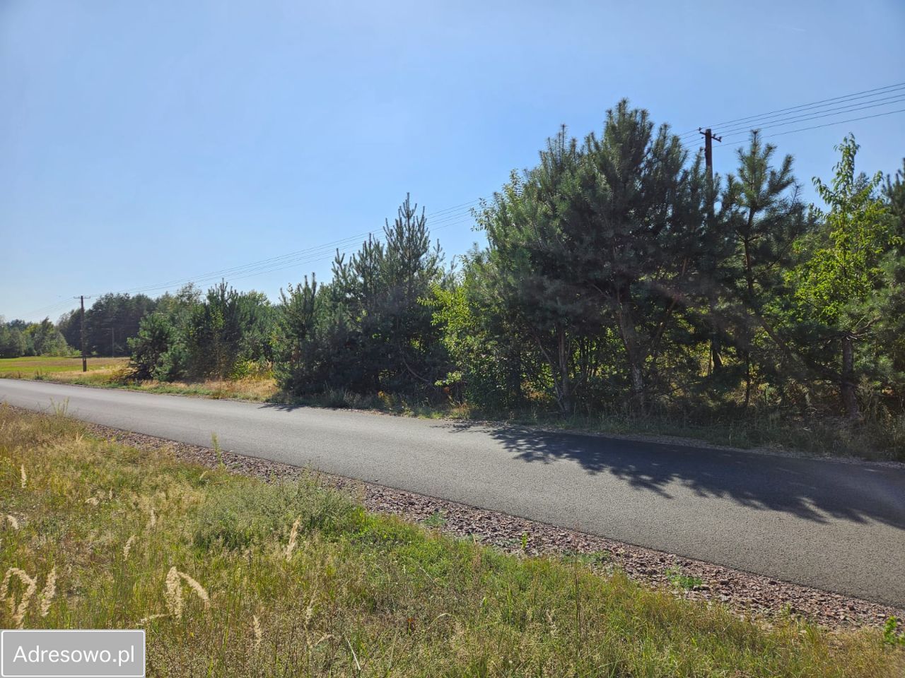 Działka Nowiny Brdowskie, bez pośrednika - 2500 m²