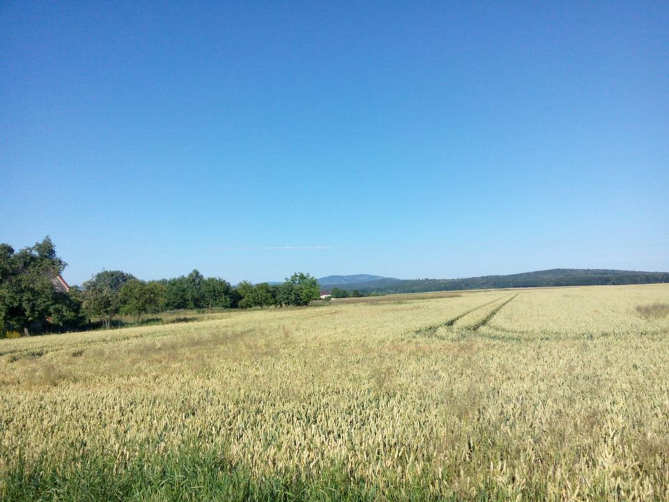 Działka Trzebina, bez pośrednika - 7094 m² - 460 000 zł