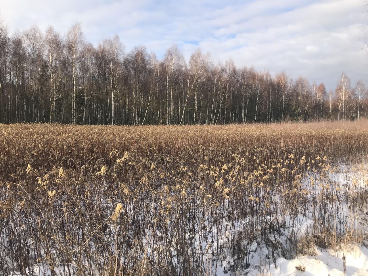 Działka Żabieniec, bez pośrednika - 1023 m2
