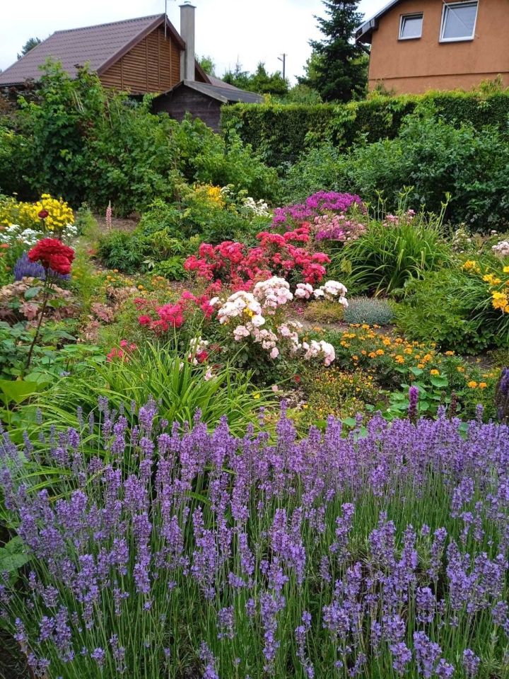 Działka Suchy Las, bez pośrednika - 600 m²
