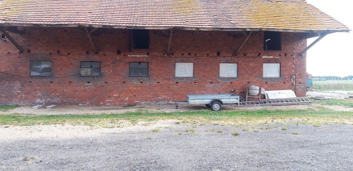 Nieruchomość komercyjna do wynajęcia Kulin, bez pośrednika
