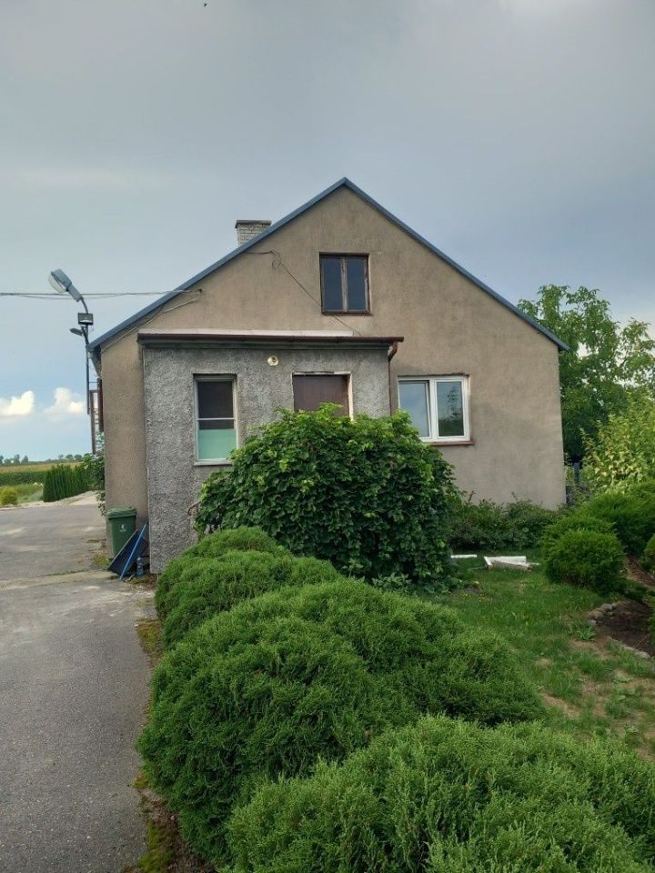 Dom do wynajęcia Drobin, bez pośrednika