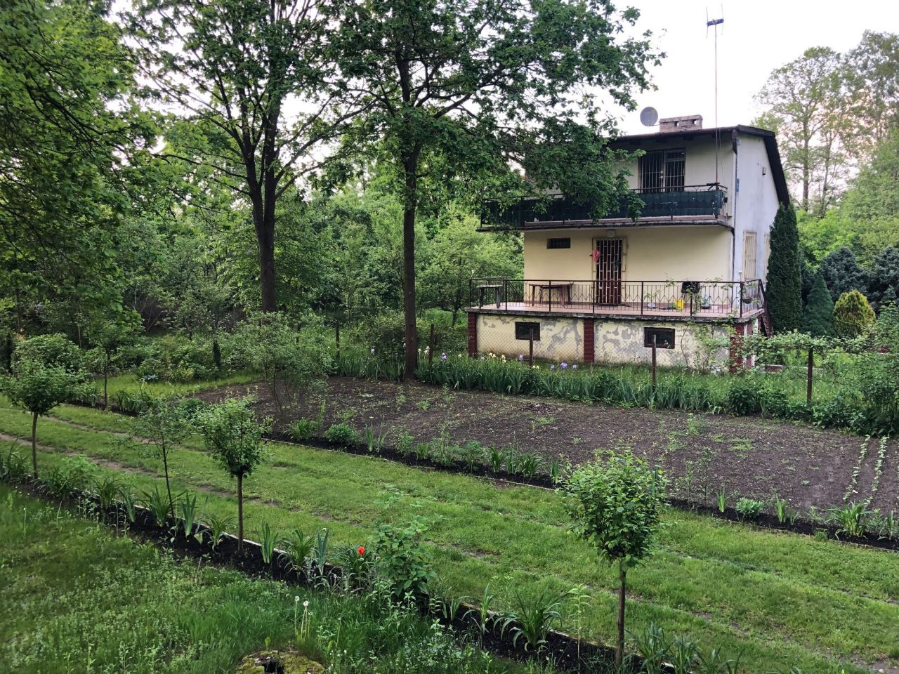 Działka Barchów, bez pośrednika - 1200 m2