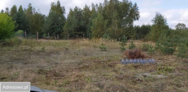 Działka Wilkszyn, ul. Świętego Mikołaja, bez pośrednika - 1 000 m²