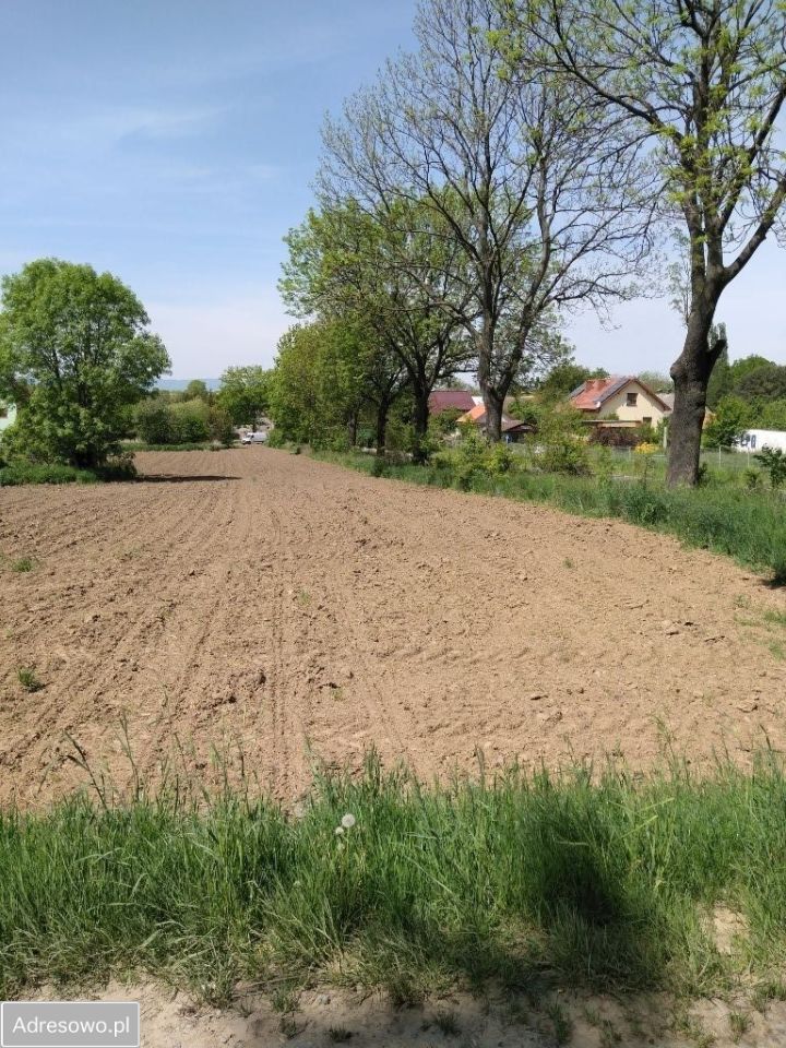 Działka Stolec, bez pośrednika - 5 125 m²