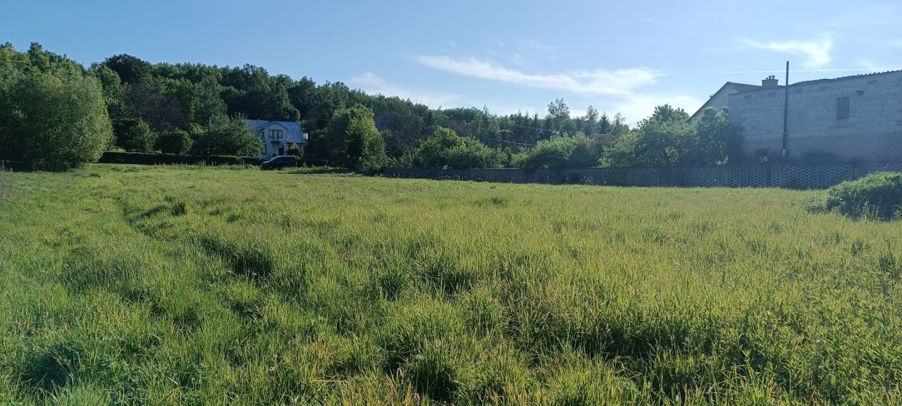 Działka Chmielów, bez pośrednika - 2600 m2 - 135 000 zł