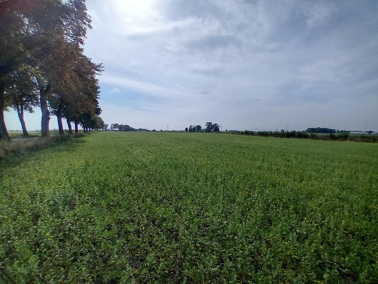 Dzia ka Jaksice Bez Po rednika 3 25 Ha 425 000 Z dzia-ka-jaksice-bez-po-rednika-3-25-ha-425-000-z