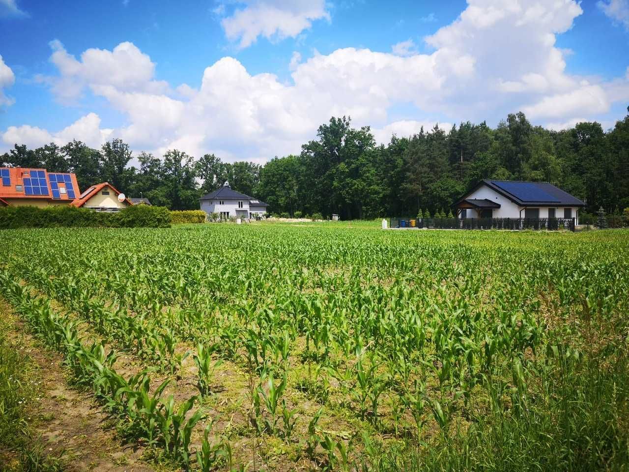 Działka Walidrogi, bez pośrednika - 1 100 m²