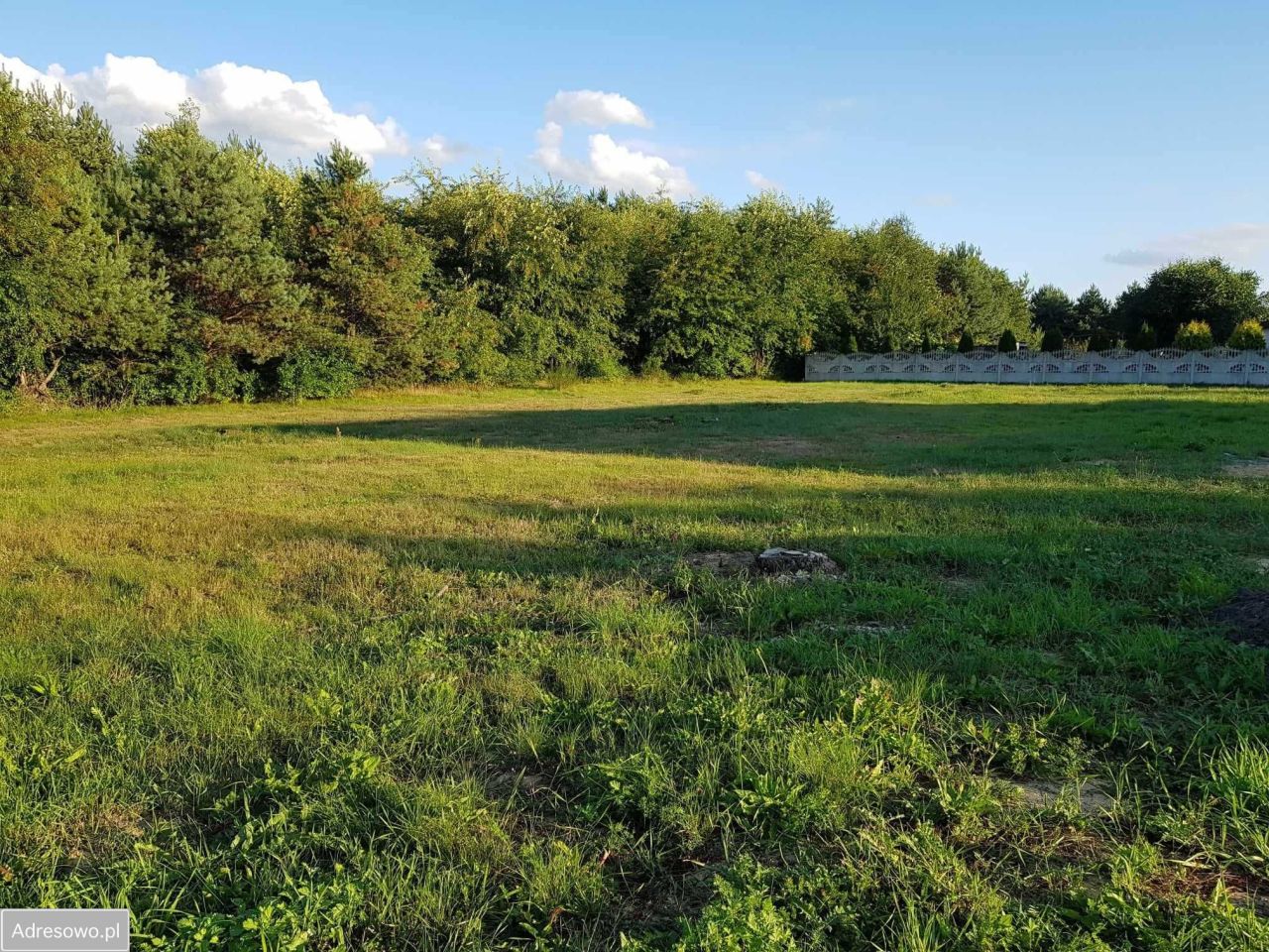 Działka Kurnos Pierwszy, bez pośrednika - 1585 m² - 125 000 zł