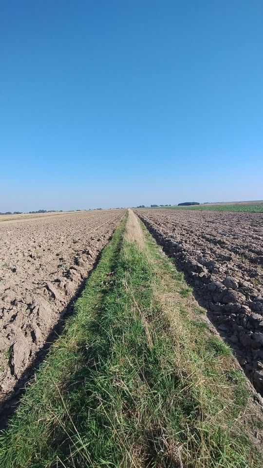 Działka Warzyn Pierwszy, bez pośrednika - 5.63 ha