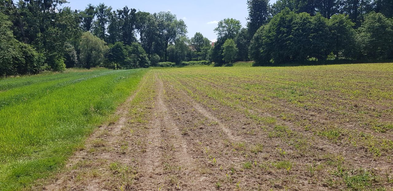 Działka Gołkowice, ul. Na Górze, bez pośrednika - 6126 m2 - 45 000 zł