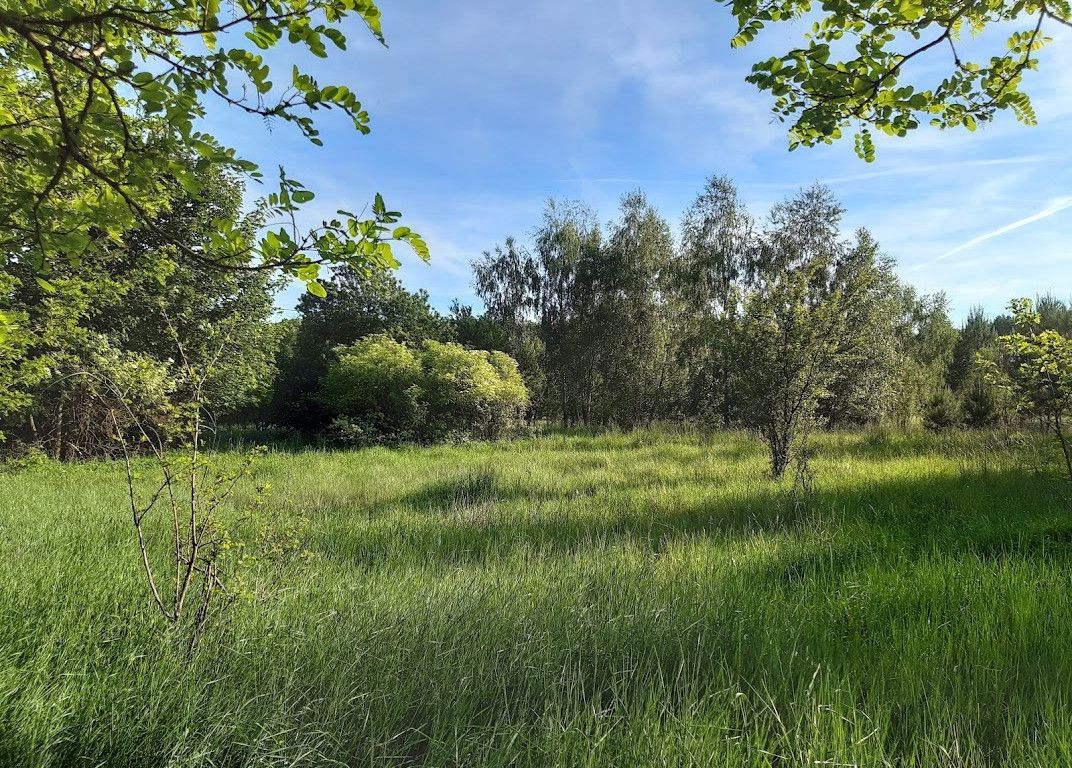 Dom Branica, bez pośrednika - 108 m2