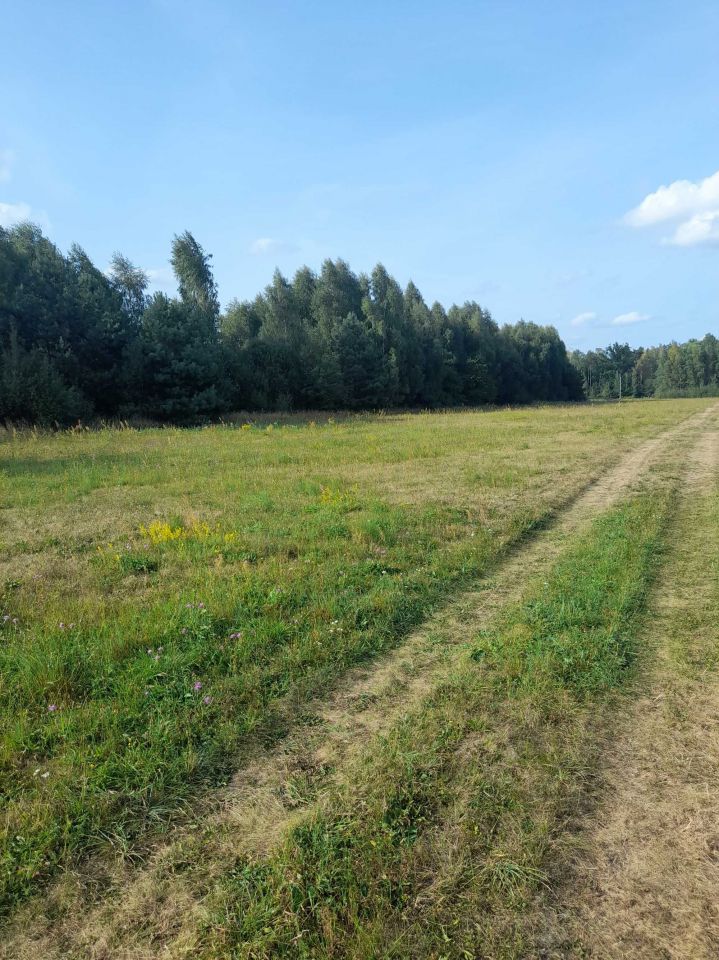 Działka Barchów, bez pośrednika - 1000 m²