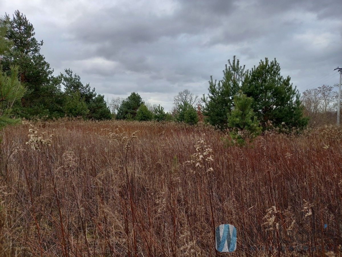 Działka Skierdy, ul. Sowia - 3.4 ha