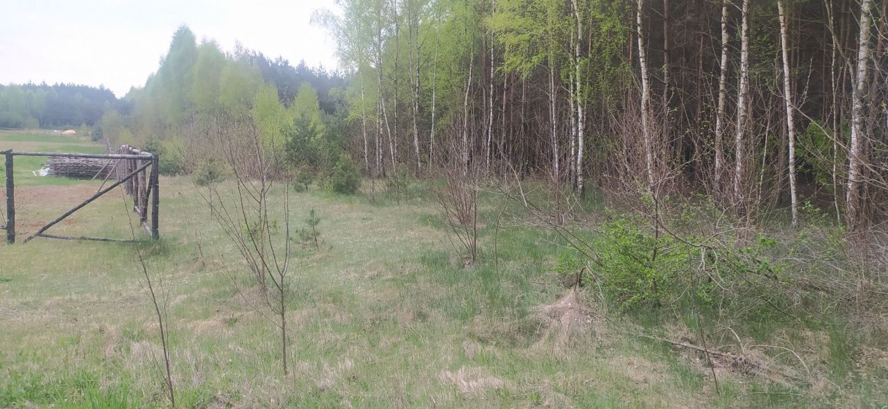 Działka Tomawa, bez pośrednika - 3900 m²