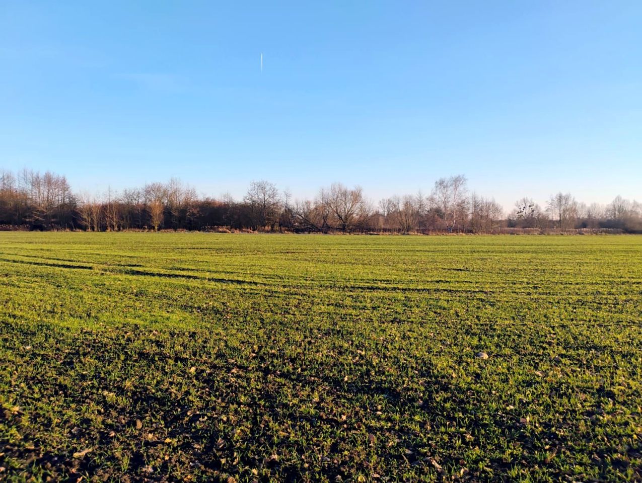 Działka Wrocław, bez pośrednika - 9155 m²