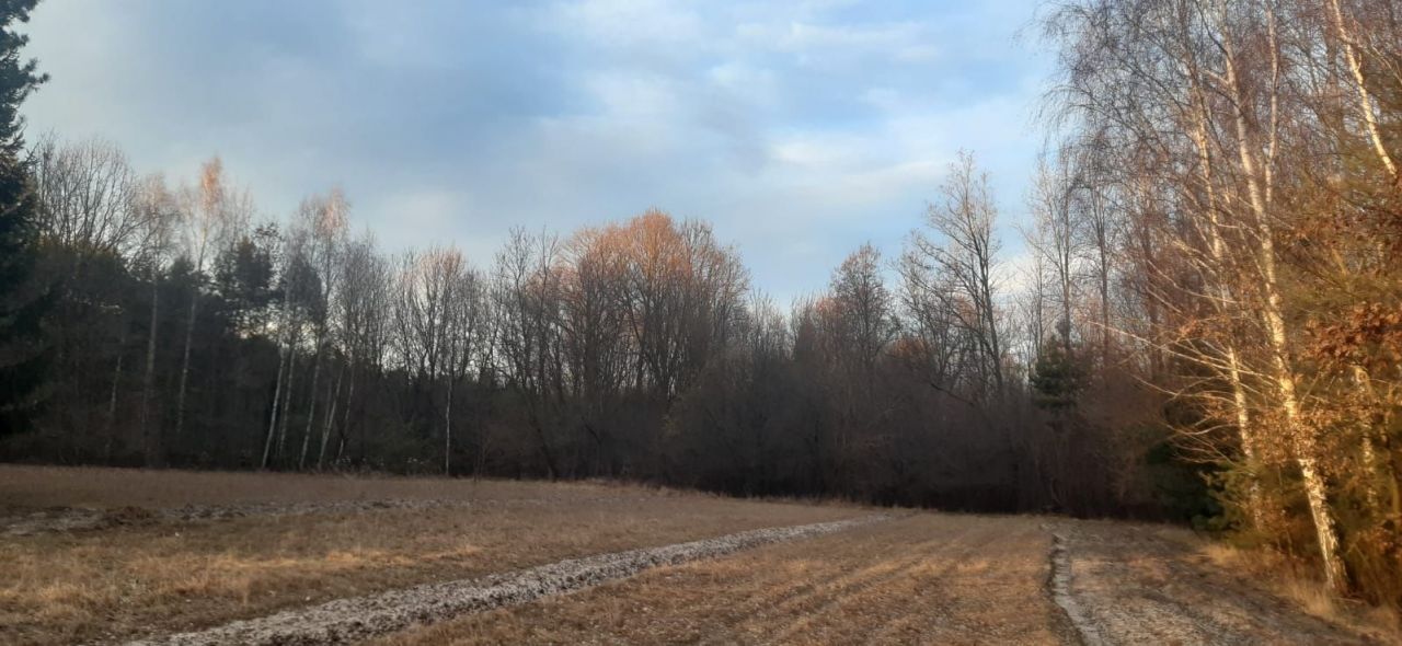 Działka Warzyn Pierwszy, bez pośrednika - 1200 m2