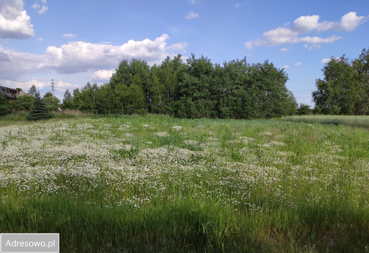 Działka Suchy Las, bez pośrednika - 1000 m2