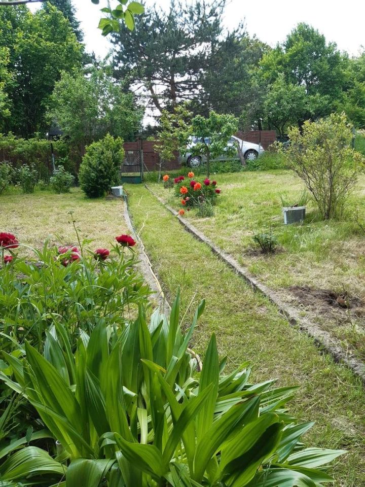 Działka Klebark Mały, bez pośrednika - 437 m²