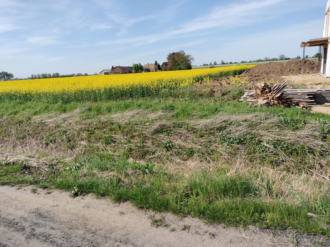 Działka Cedry Małe, bez pośrednika - 3000 m² - 360 000 zł