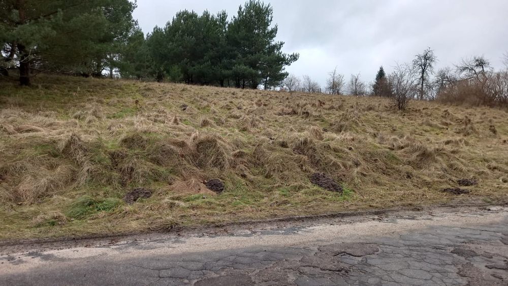 Działka Pogorzelice, bez pośrednika - 4 464 m²