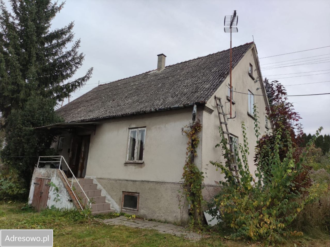 Dom Strzygi, bez pośrednika - 100 m² - 280 000 zł