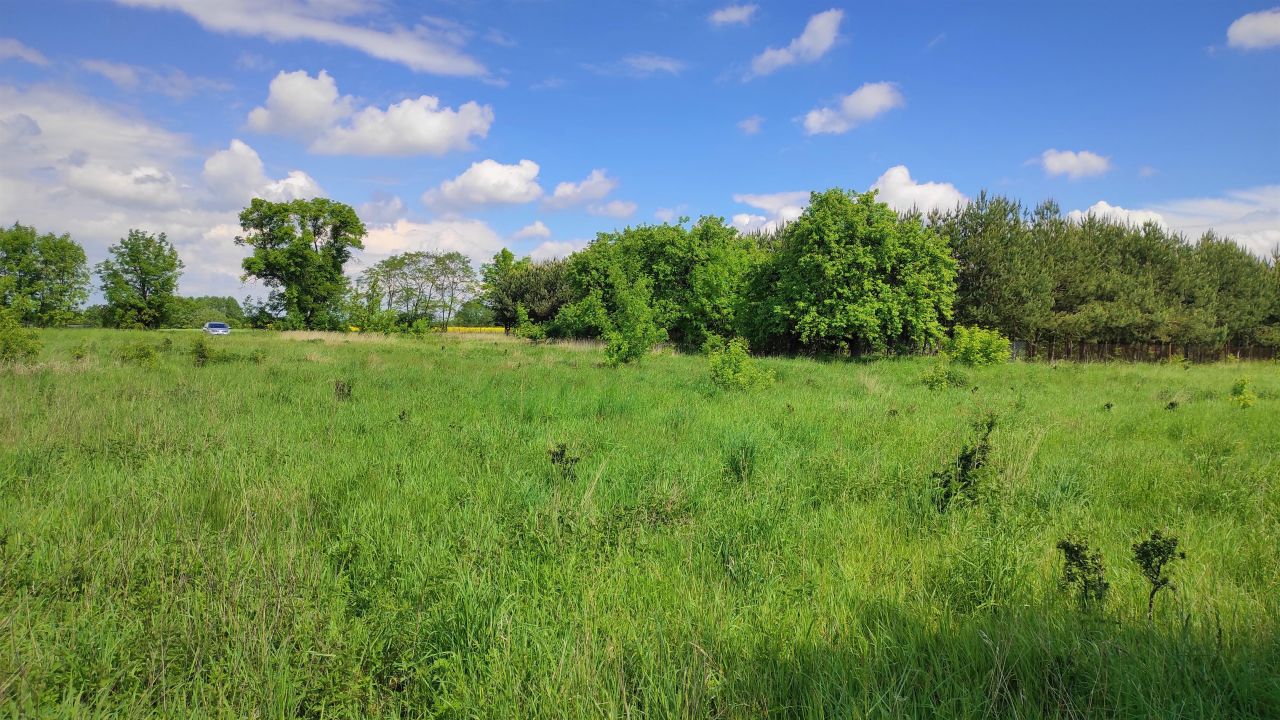 Działka Łubienica-Superunki, bez pośrednika - 1 ha