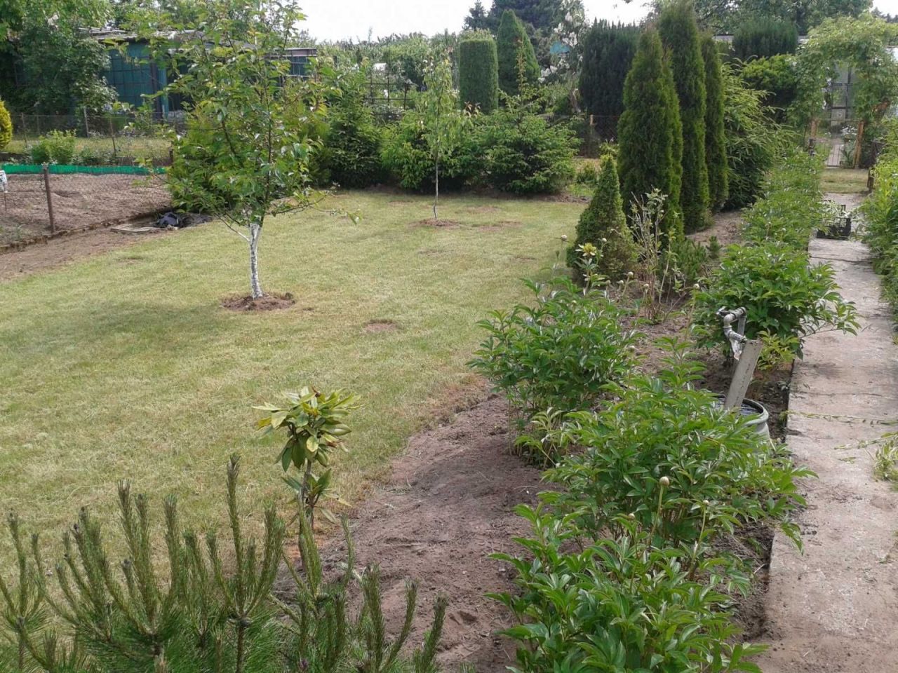 Dzia ka Koszalin Bez Po rednika 340 M2 15 000 Z dzia-ka-koszalin-bez-po-rednika-340-m2-15-000-z