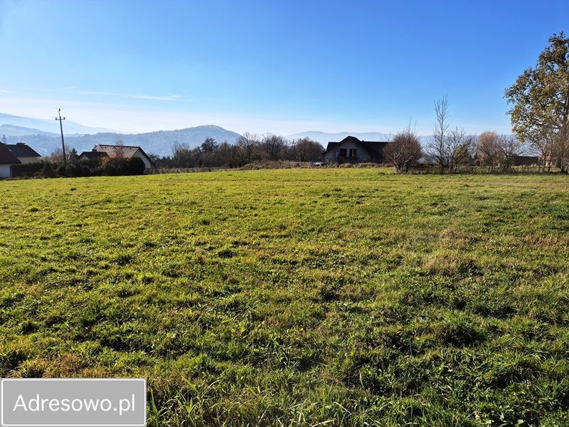 Działka Żywiec, ul. Sosnowa, bez pośrednika - 2459 m²