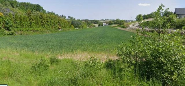 Działka Zielona, bez pośrednika - 5590 m²