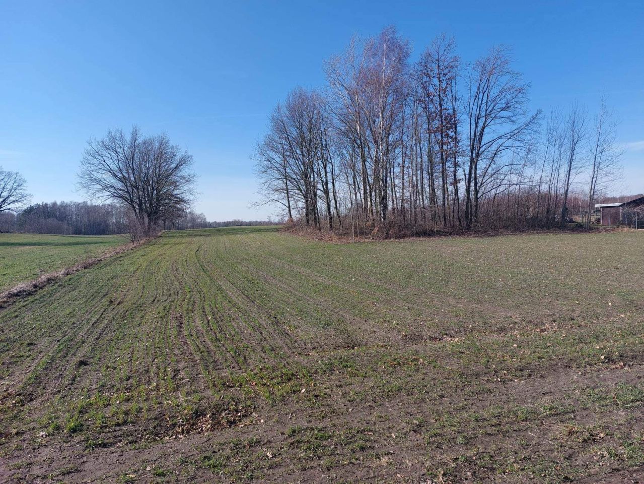 Działka Strobów, bez pośrednika - 1.19 ha