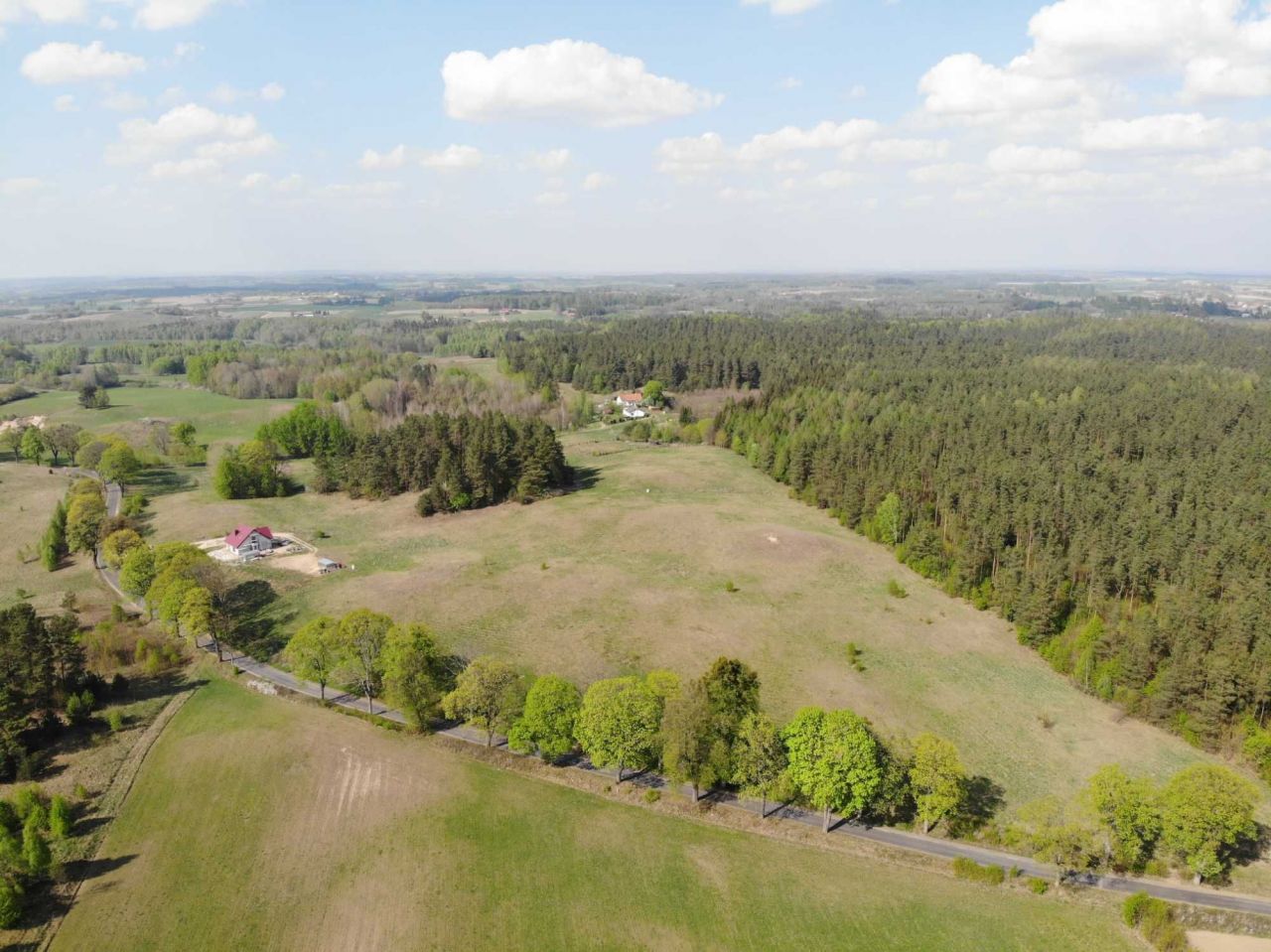 Działka Pupki, ul. Bielika, bez pośrednika - 3119 m² - 155 950 zł