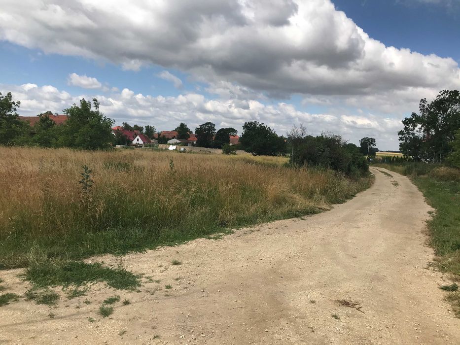 Działka Kulin, bez pośrednika - 5 600 m²