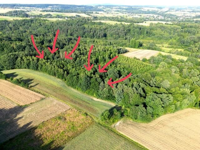 Działka Sitnica - 8867 m²